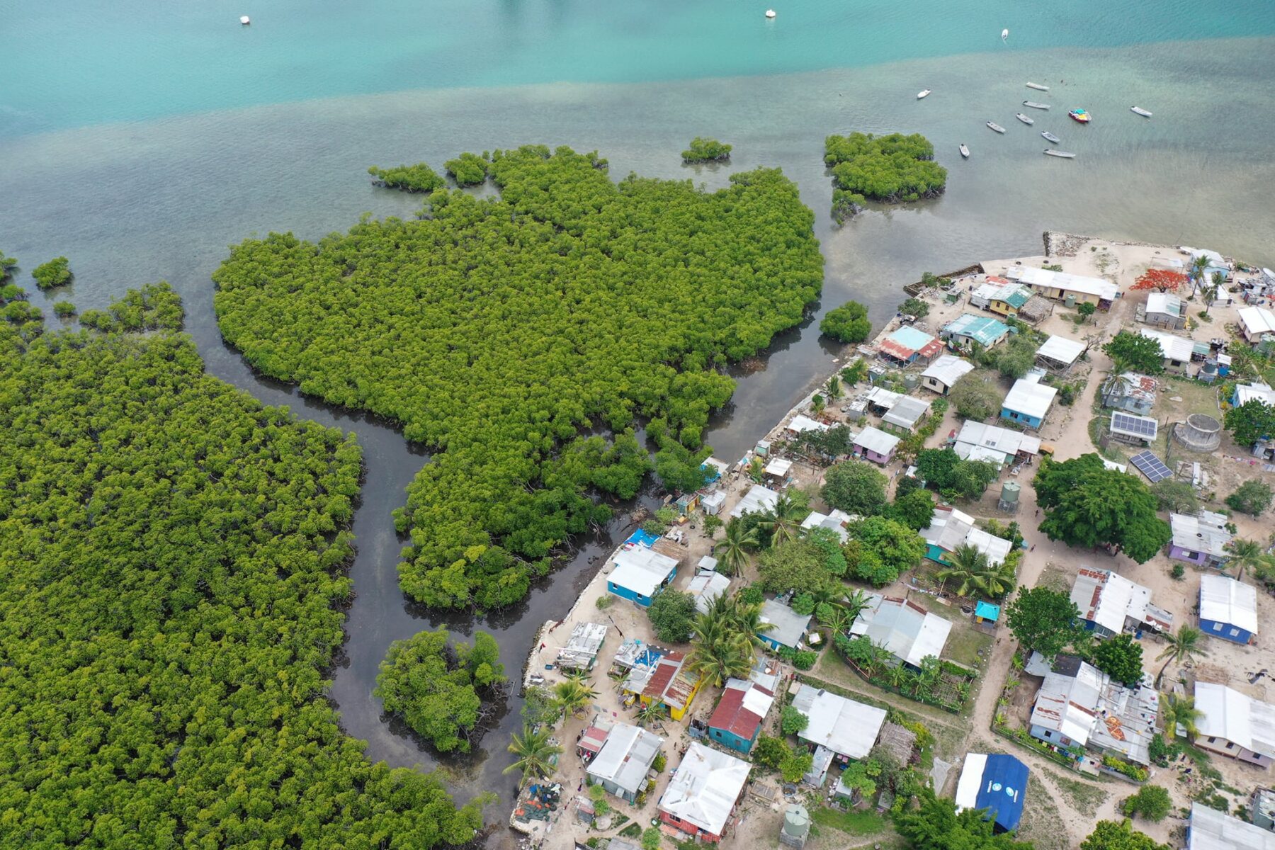 Pacific Islands Development Forum – A united, Distinctive & Sustainable ...